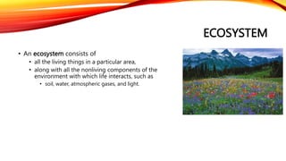 2. Biosphere.pptx