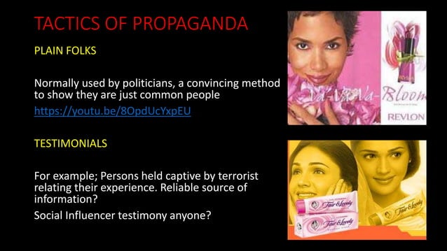 2.Public Opinion & Propaganda.pptx