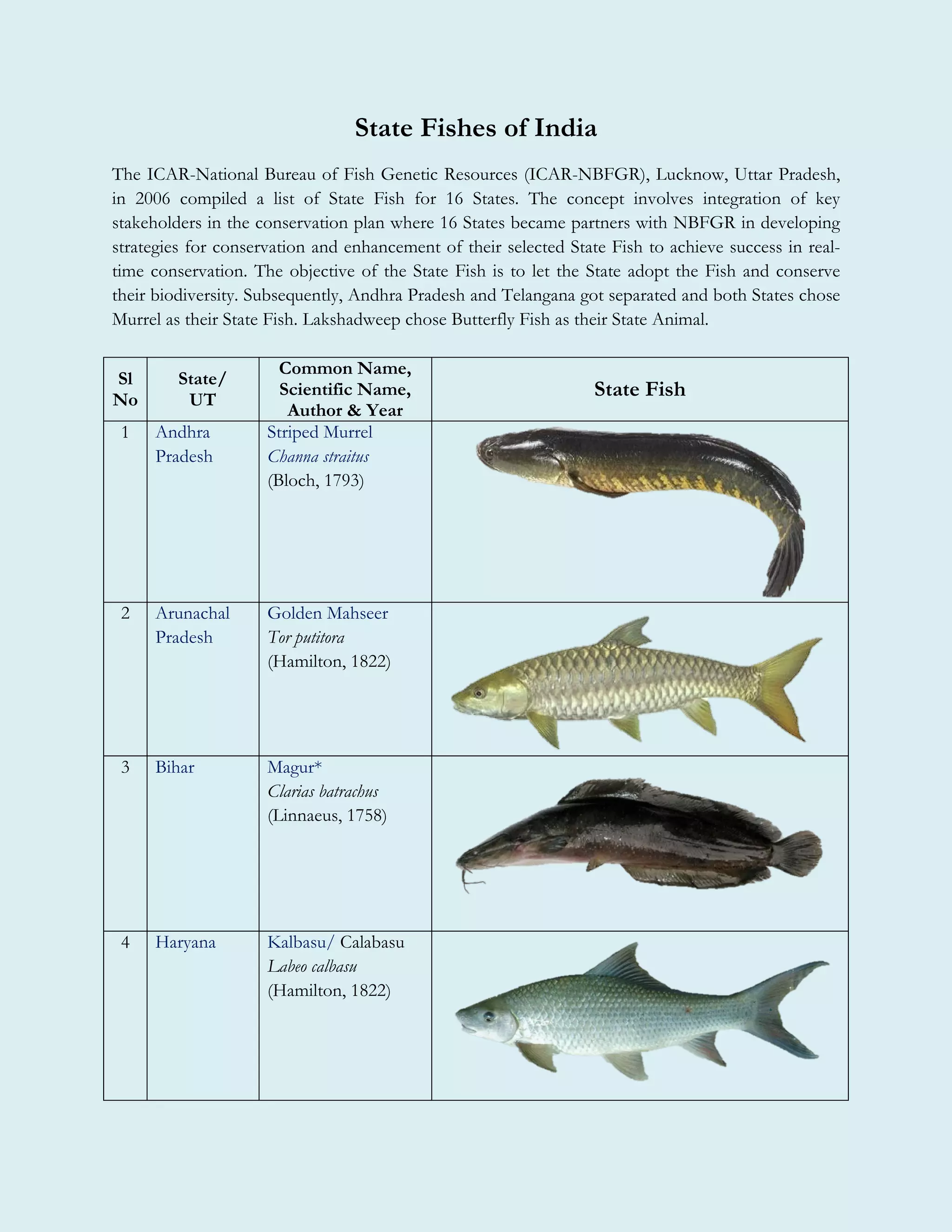 STATE FISHES OF INDIA | PDF