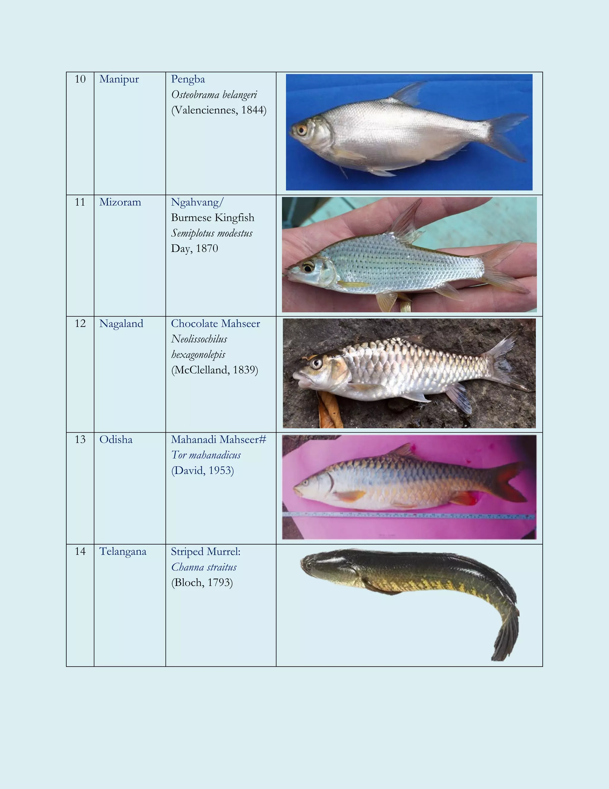 STATE FISHES OF INDIA | PDF
