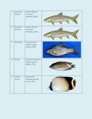 STATE FISHES OF INDIA | PDF