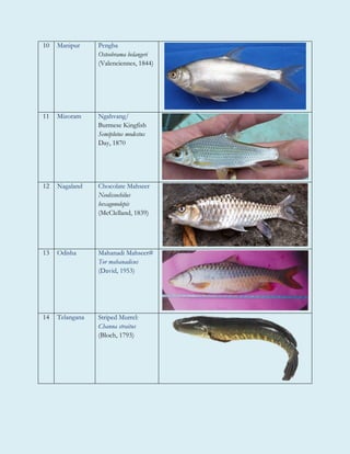 STATE FISHES OF INDIA | PDF
