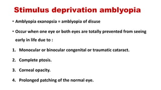 2.Amblyopia and Eccentric fixation.pptx