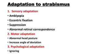 2.Amblyopia and Eccentric fixation.pptx