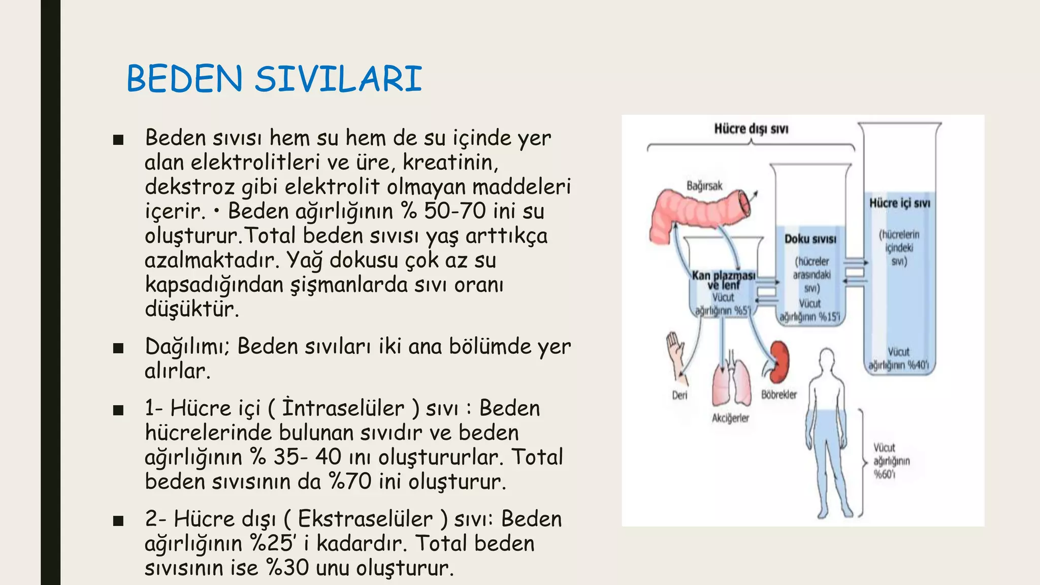 2.Sıvı - Elektrolit ve Asit - Baz D. ---muhammet (1).pptx