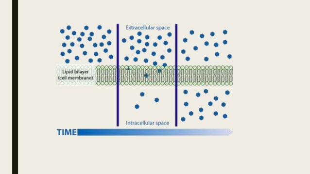2.Sıvı - Elektrolit ve Asit - Baz D. ---muhammet (1).pptx