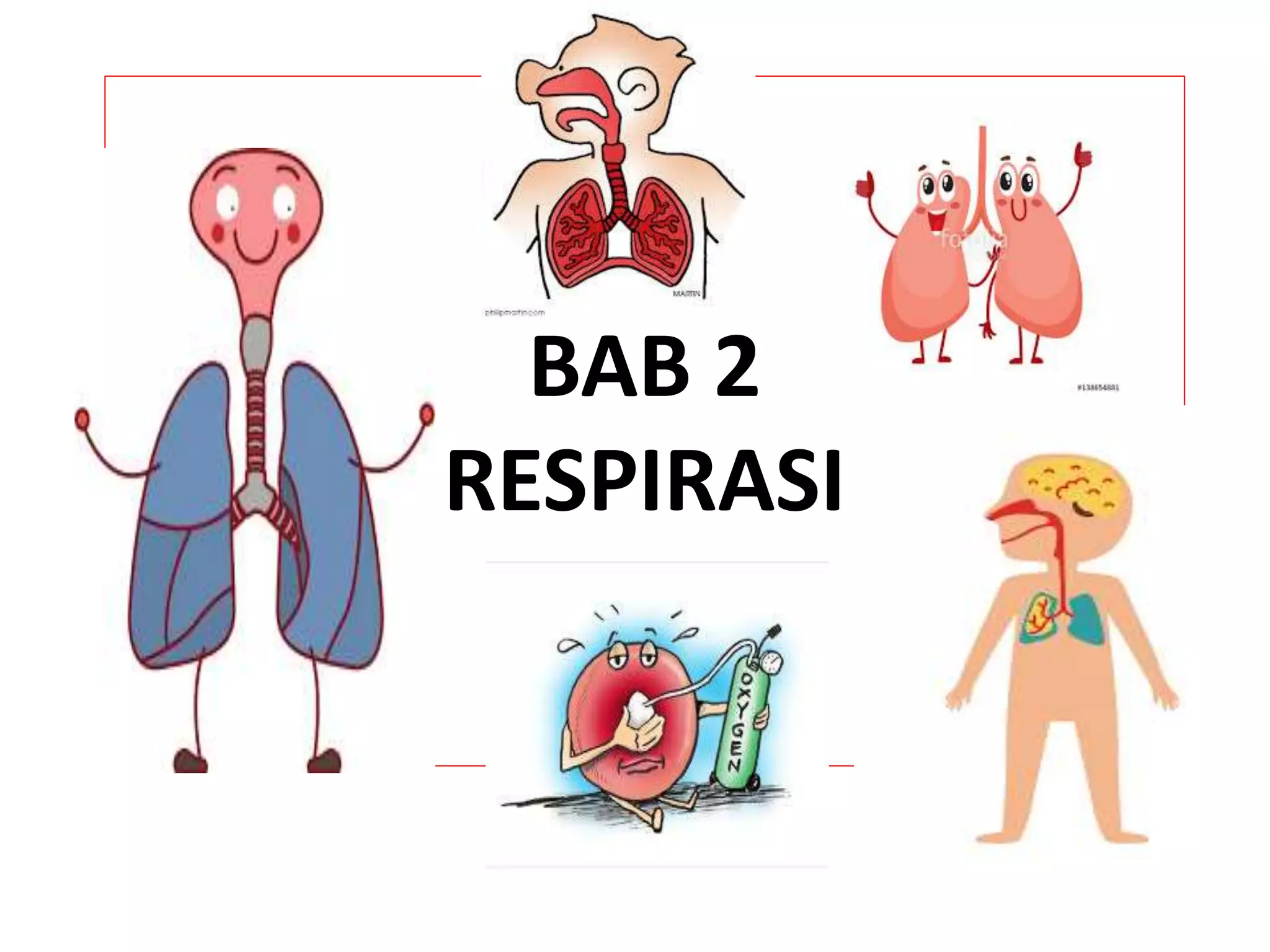 2.1 sistem respirasi manusia.pptx