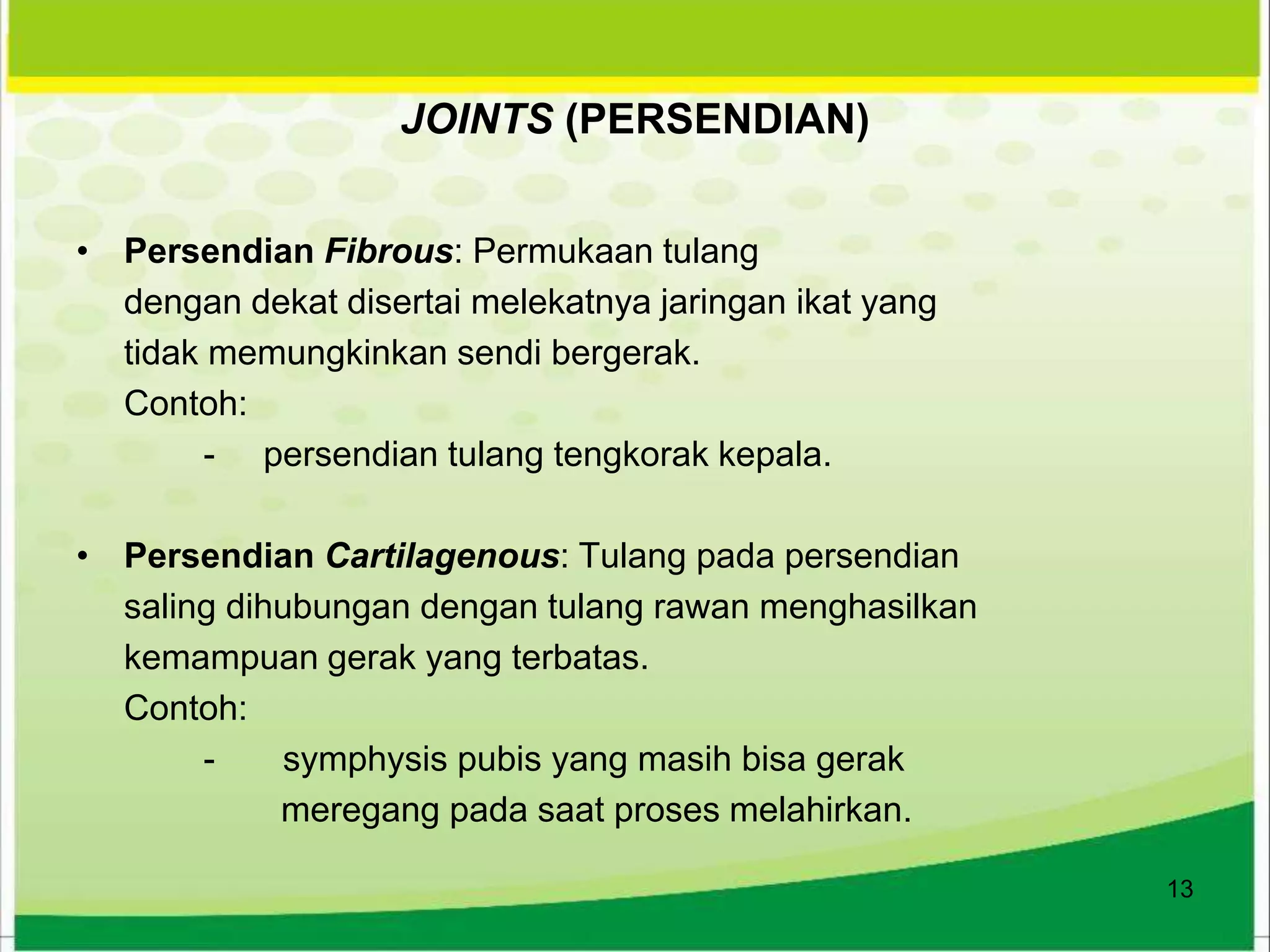 2. Terminologi Medis sistem otot.ppt