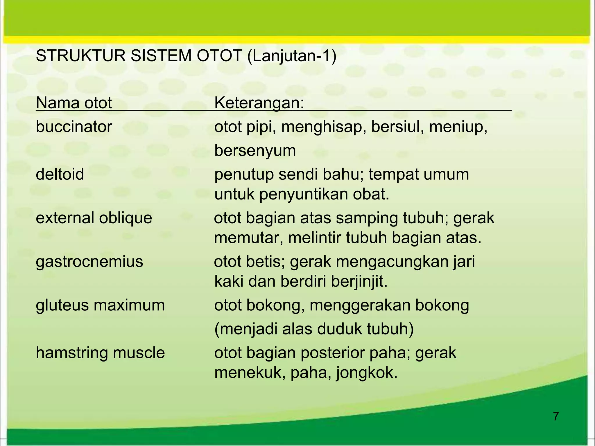 2. Terminologi Medis sistem otot.ppt