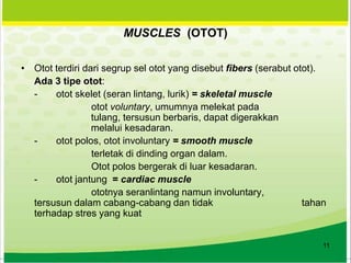 2. Terminologi Medis sistem otot.ppt