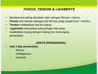 2. Terminologi Medis sistem otot.ppt