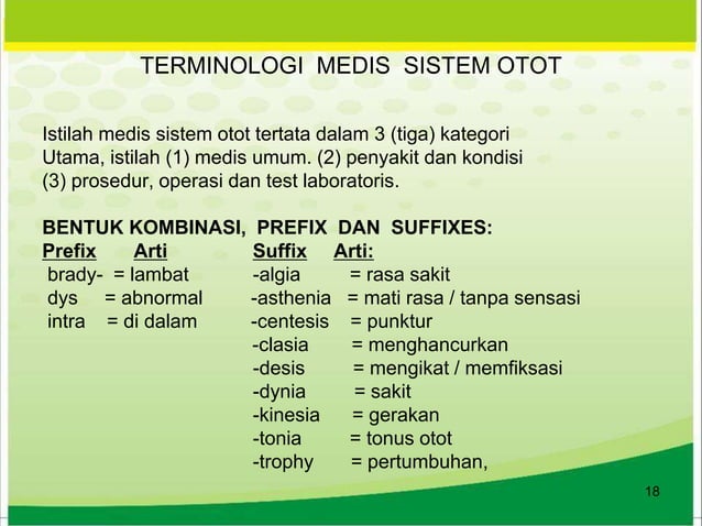 2. Terminologi Medis sistem otot.ppt