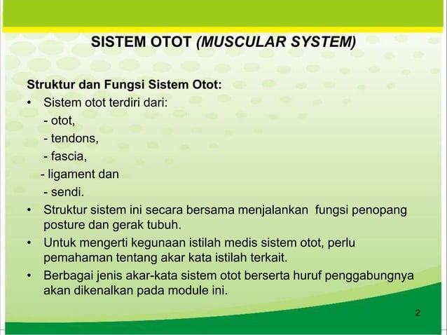 2. Terminologi Medis sistem otot.ppt