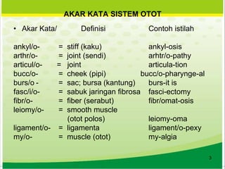 2. Terminologi Medis sistem otot.ppt