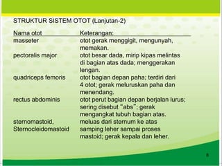 2. Terminologi Medis sistem otot.ppt