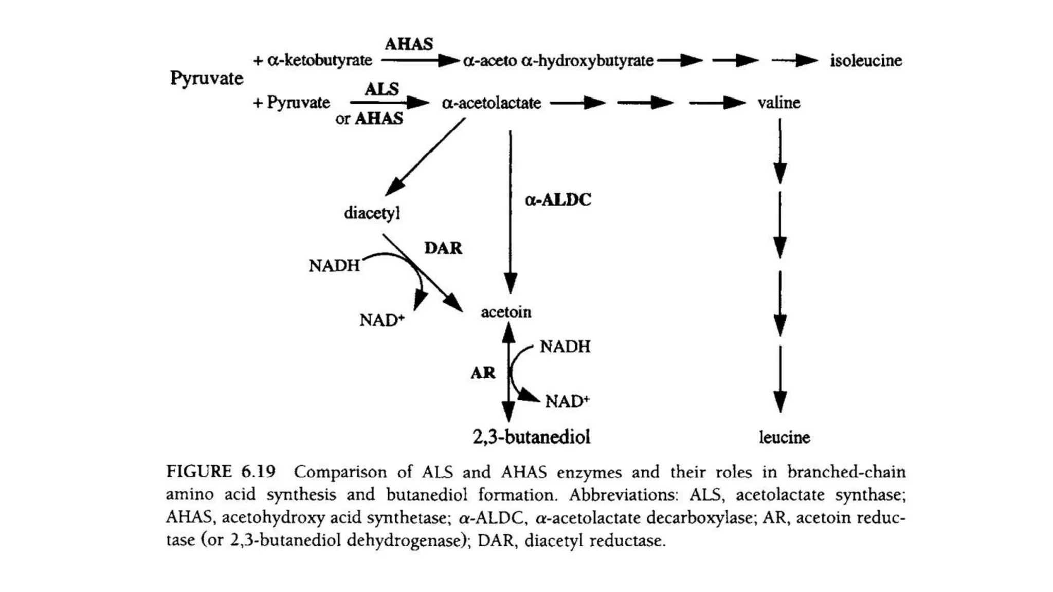 PREVENTION OF OVERFLOW METABOLISM.pptx
