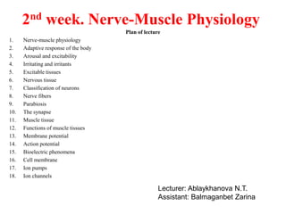 2лекВ (копия).pptx