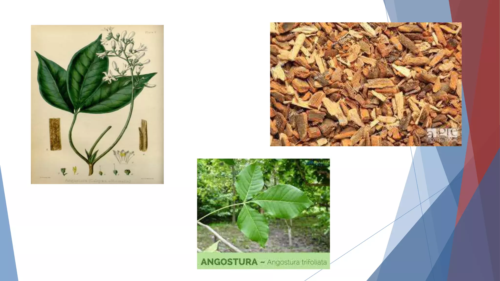 2.HISTORY OF BTPB.pptx