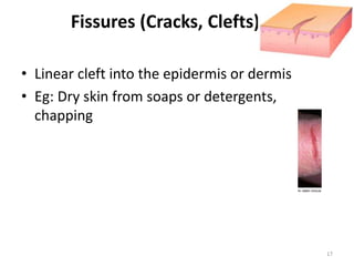 2. Approach to dermatologic diagnosis.pptx