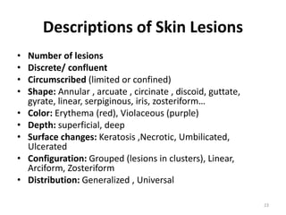 2. Approach to dermatologic diagnosis.pptx | Skin and Dermatology ...