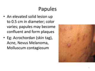 2. Approach to dermatologic diagnosis.pptx