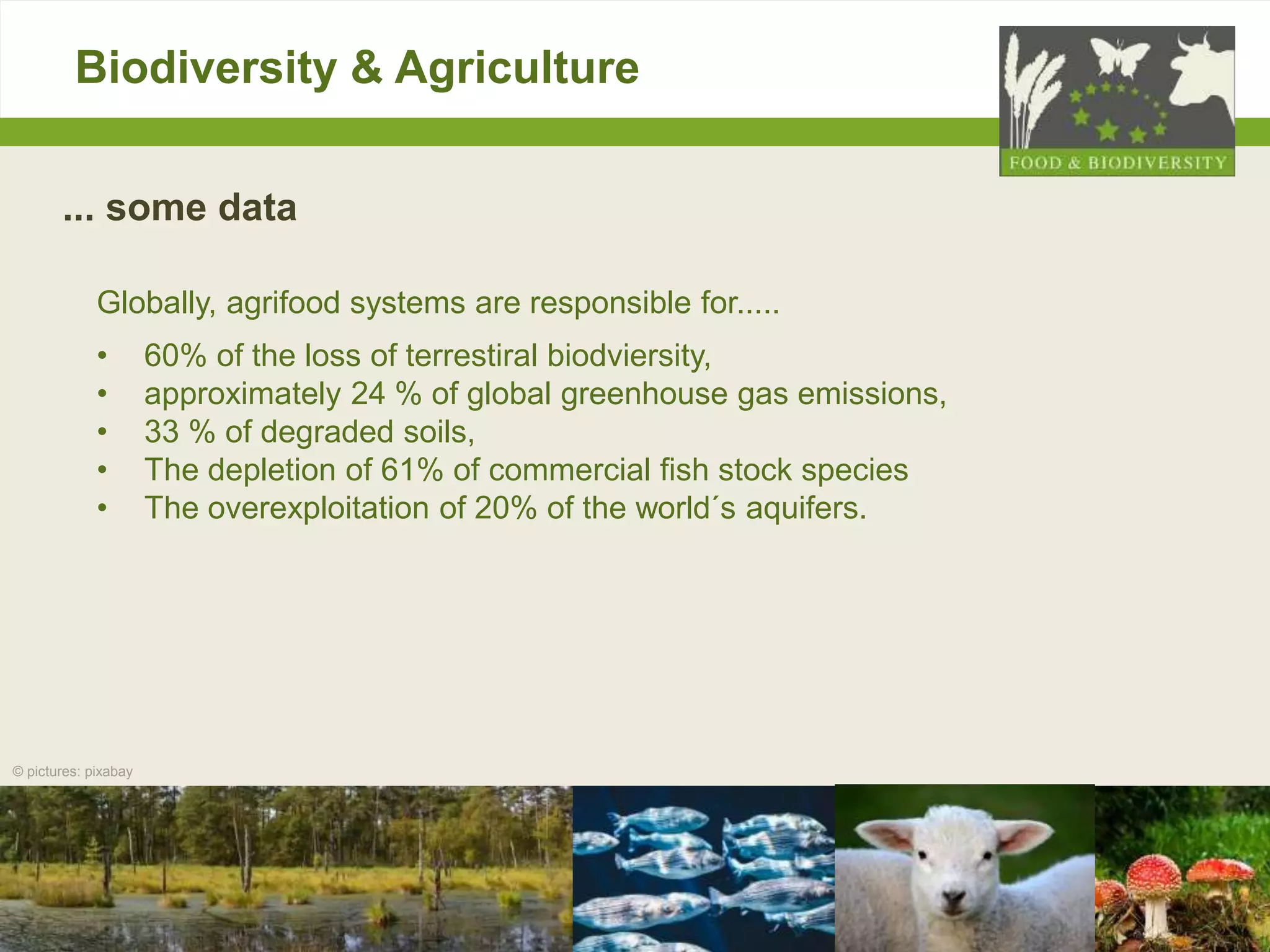 2.2. Biodiversity - status quo_advisor.pptx