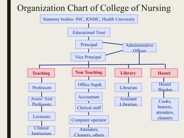 Org.al pattern of Nursing institutions.pptx | Postgraduate Education ...