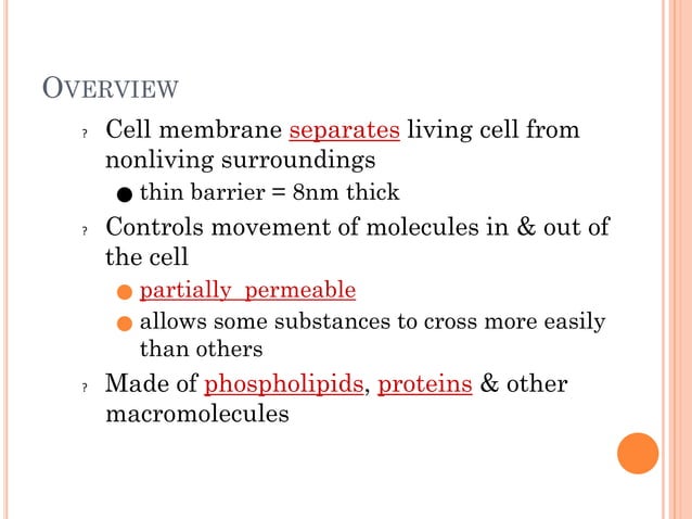 Organisation of the organism | PDF | Biological Sciences | Science