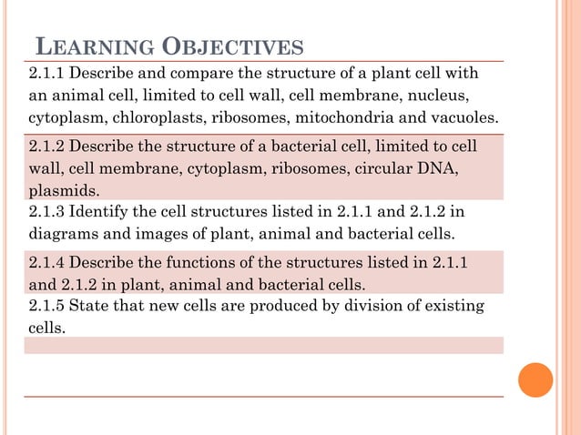 Organisation of the organism | PDF | Biological Sciences | Science