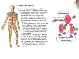 ΚΥΚΛΟΦΟΡΙΚΟ - ΦΕ 2.ppt