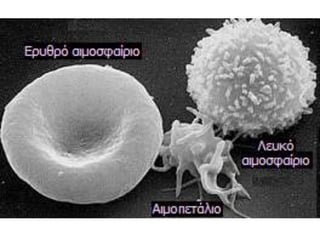 ΚΥΚΛΟΦΟΡΙΚΟ - ΦΕ 2.ppt