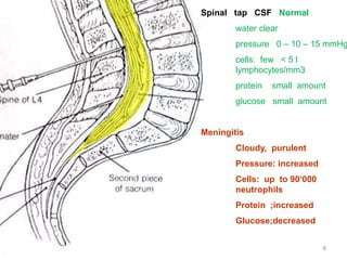 2.CNS INFECTIONS 2015.pptx