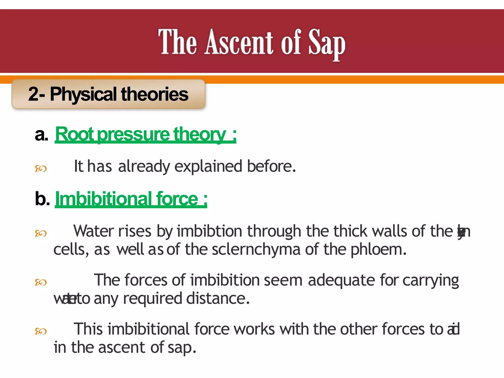 2. Ascent of sap.pptx