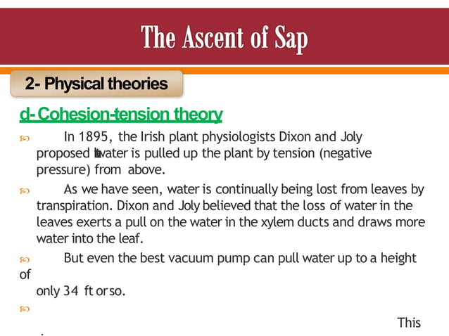 2. Ascent of sap.pptx