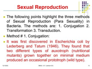 2. Bacterial Reproduction.ppt