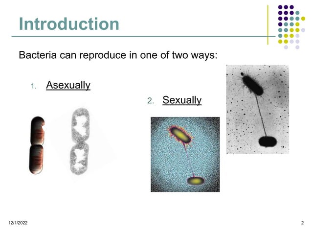 2. Bacterial Reproduction.ppt