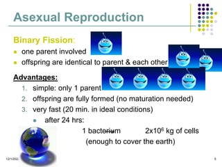 2. Bacterial Reproduction.ppt