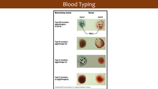 2.blood transfusion.ppt