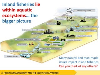 2. Fishery management and EAFM inland.pdf