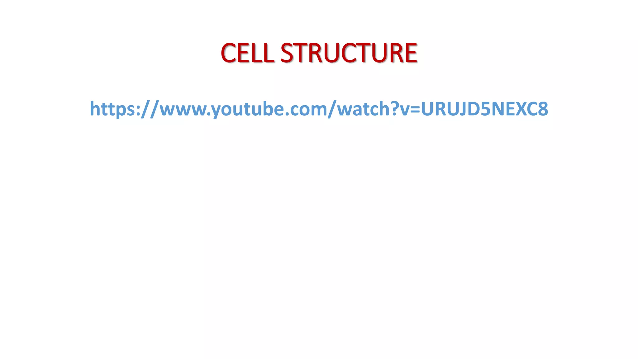 Cell & Cell Theory.pptx
