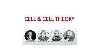 Cell & Cell Theory.pptx