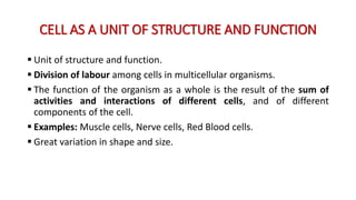 Cell & Cell Theory.pptx