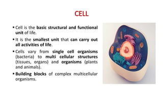 Cell & Cell Theory.pptx