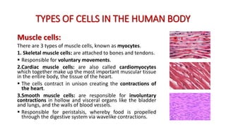 Cell & Cell Theory.pptx