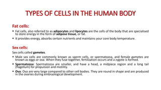 Cell & Cell Theory.pptx