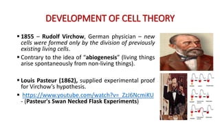 Cell & Cell Theory.pptx