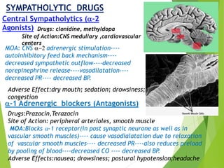 Anti hypertensive drug | PPTX | Heart and Cardiovascular Diseases ...