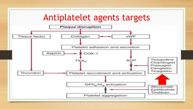 Role of antiplatelets in cardiovascular diseases.pptx | Blood Disorders ...