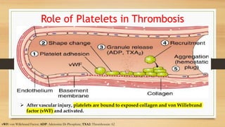 Role of antiplatelets in cardiovascular diseases.pptx