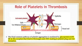 Role of antiplatelets in cardiovascular diseases.pptx